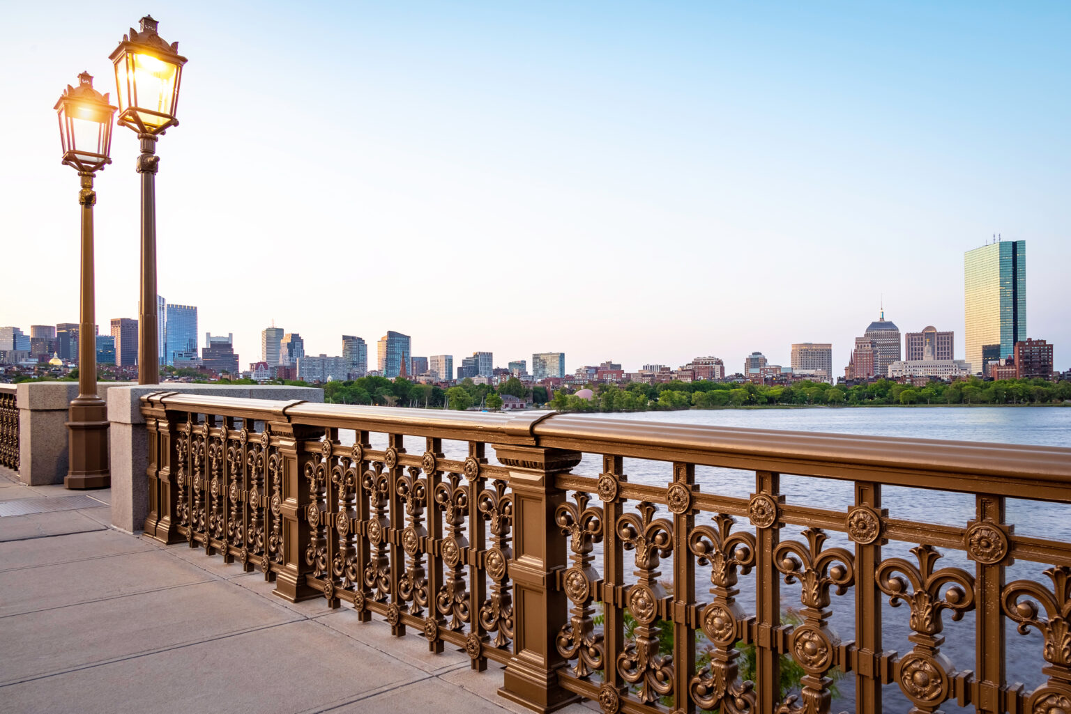 Cross Agency - Cross Insurance