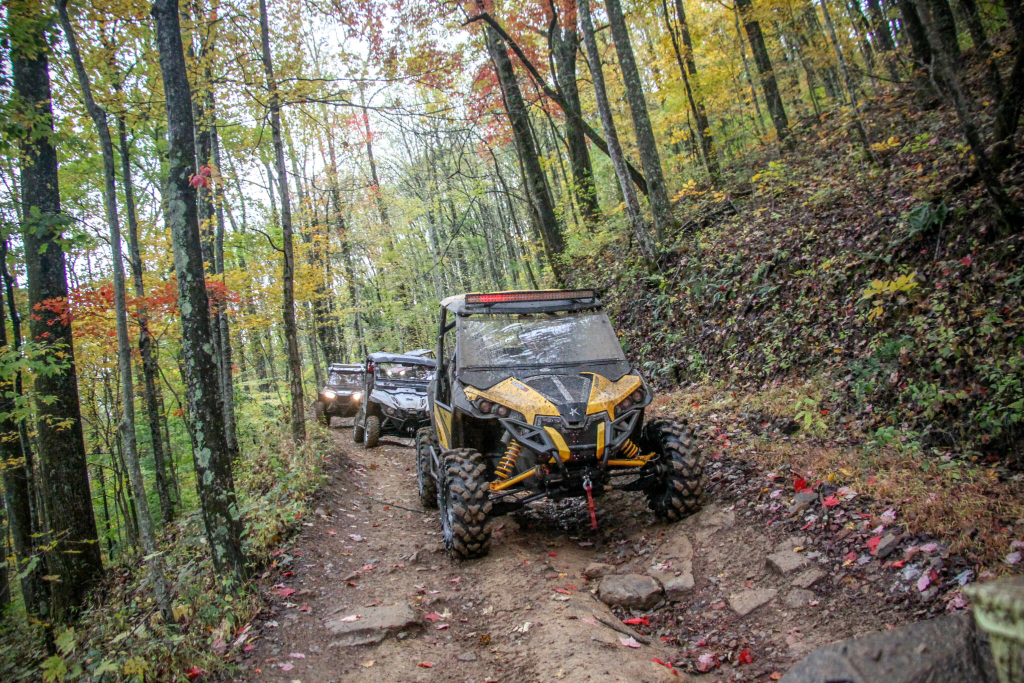 Cross Agency - Cross Insurance